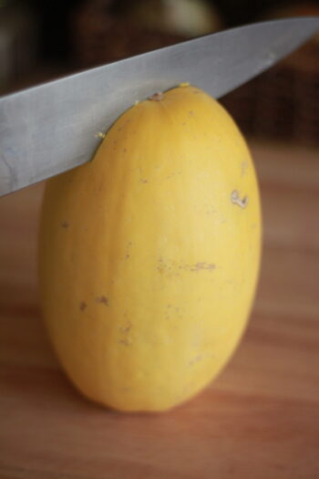 Spaghetti Squash Pictures and Information