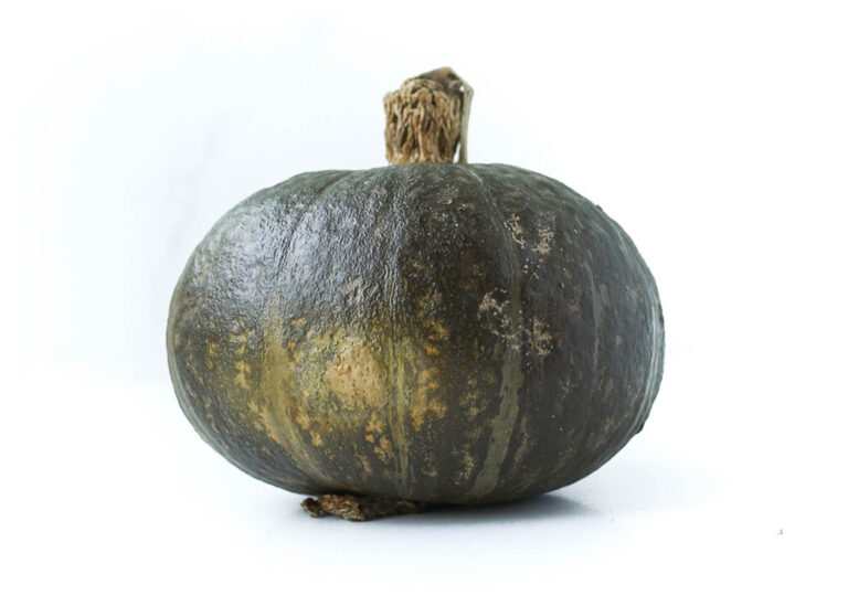 All About Kabocha Squash