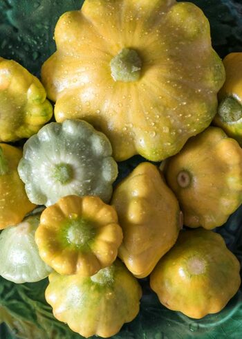 All About Patty Pan Squash