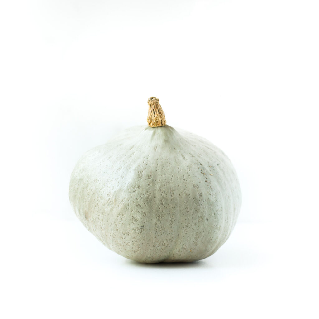 Types of Green Squash & Pumpkins - Good Gourds