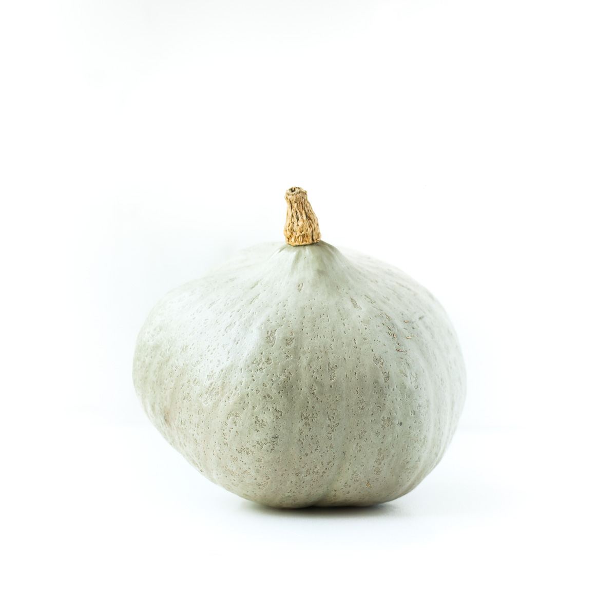 Types of Green Squash & Pumpkins - Good Gourds