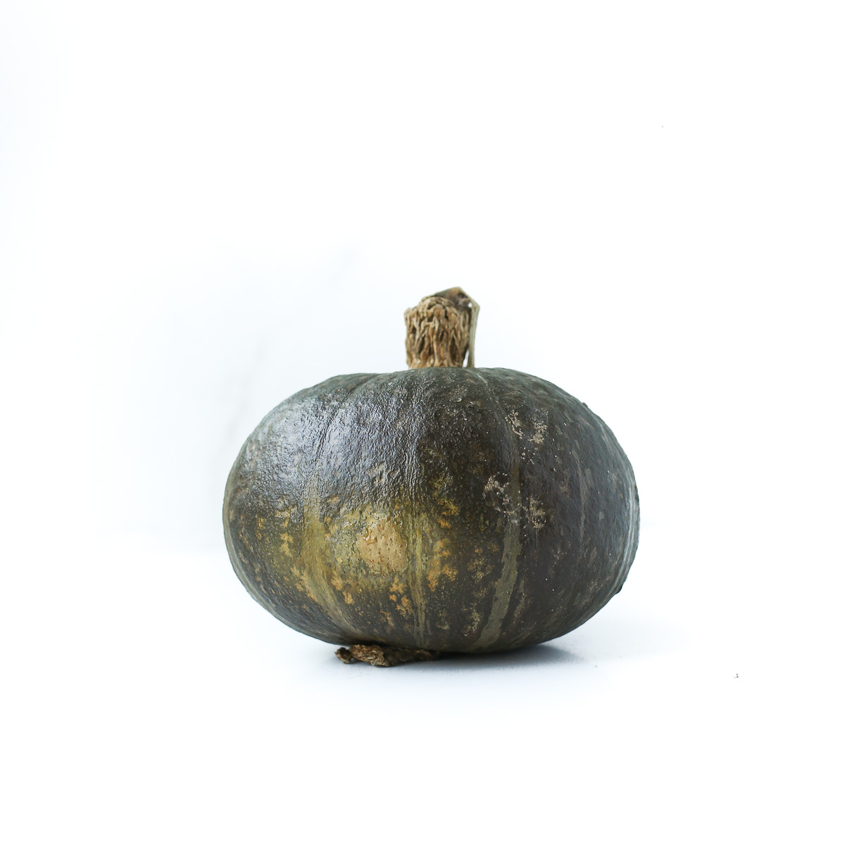 Types of Green Squash & Pumpkins - Good Gourds