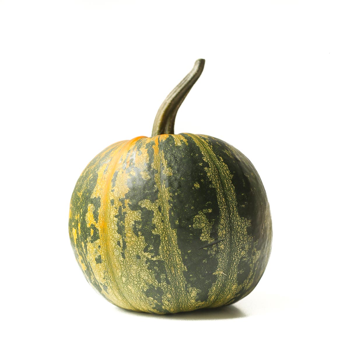 Types of Green Squash & Pumpkins - Good Gourds