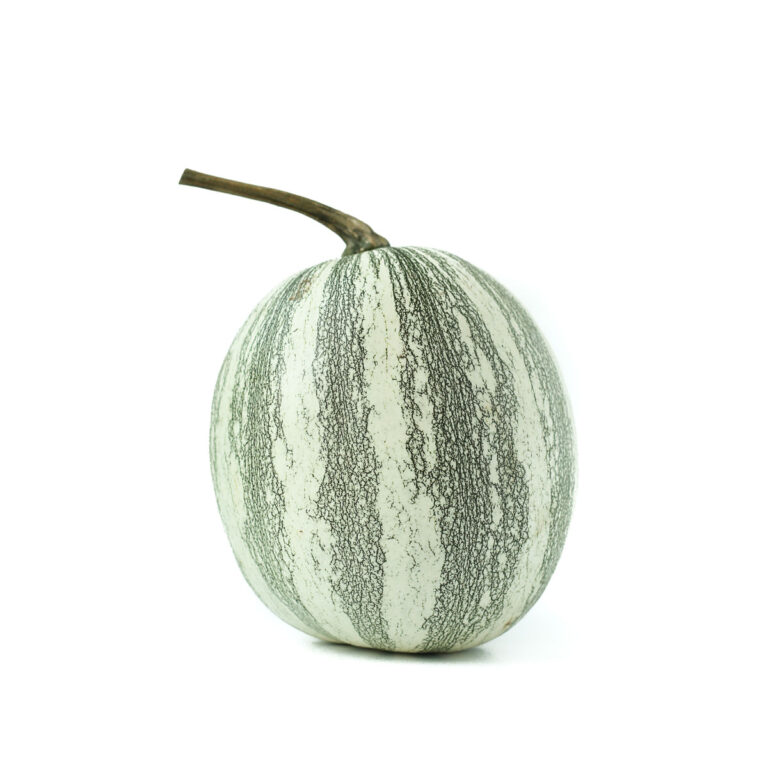 Unique Heirloom Pumpkins You Need in Your Life