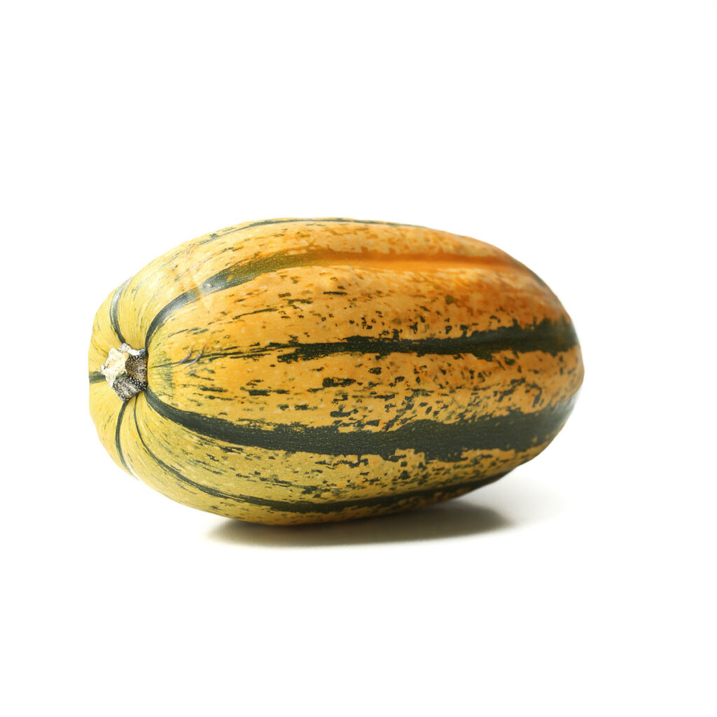 All About Stripetti Squash - Pics, How to Cut It & More