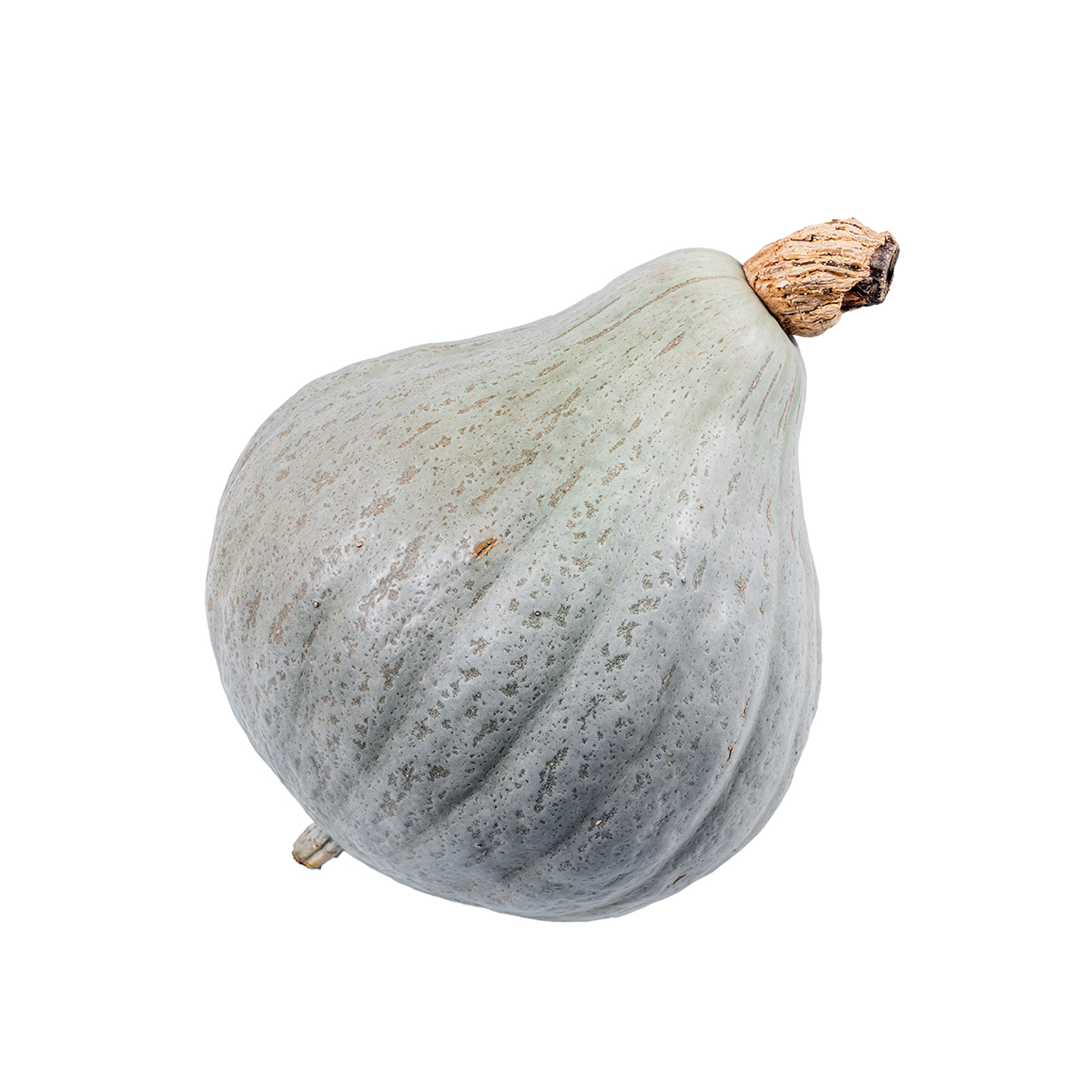 73 Types of Squash (A-Z Guide with Pics)
