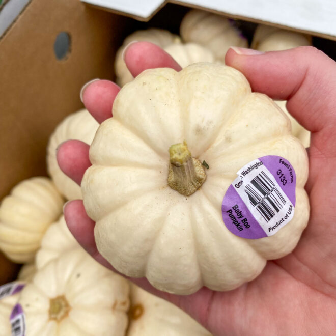 73 Types of Squash (A-Z Guide with Pics)