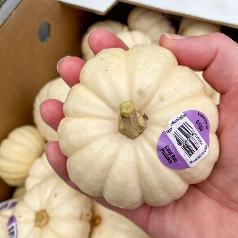 73 Types of Squash (A-Z Guide with Pics)