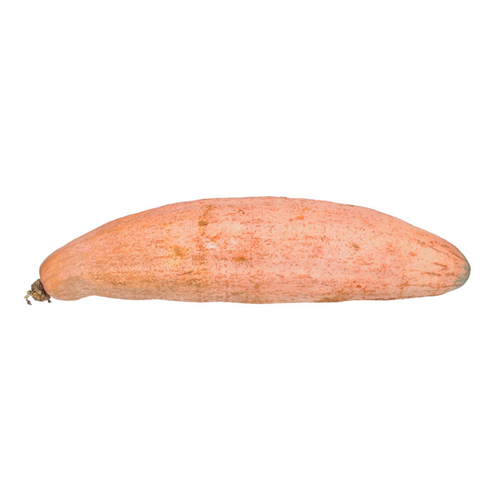 73 Types of Squash (A-Z Guide with Pics)