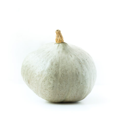 73 Types of Squash (A-Z Guide with Pics)