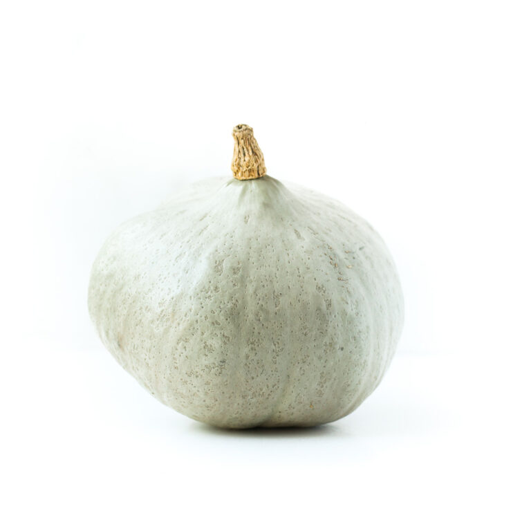 73 Types of Squash (A-Z Guide with Pics)