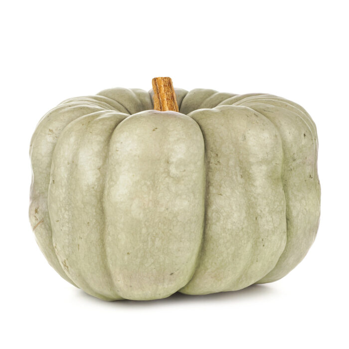 Types of Green Squash & Pumpkins - Good Gourds