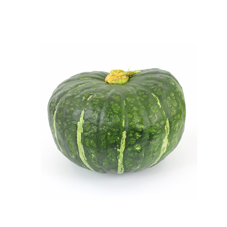 Types of Green Squash & Pumpkins - Good Gourds