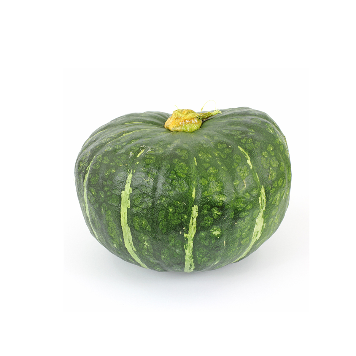 Varieties of Squash - A-Z Guide with 60+ Types
