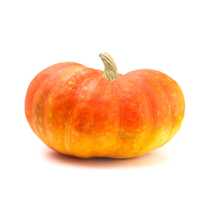 Unique Heirloom Pumpkins You Need in Your Life