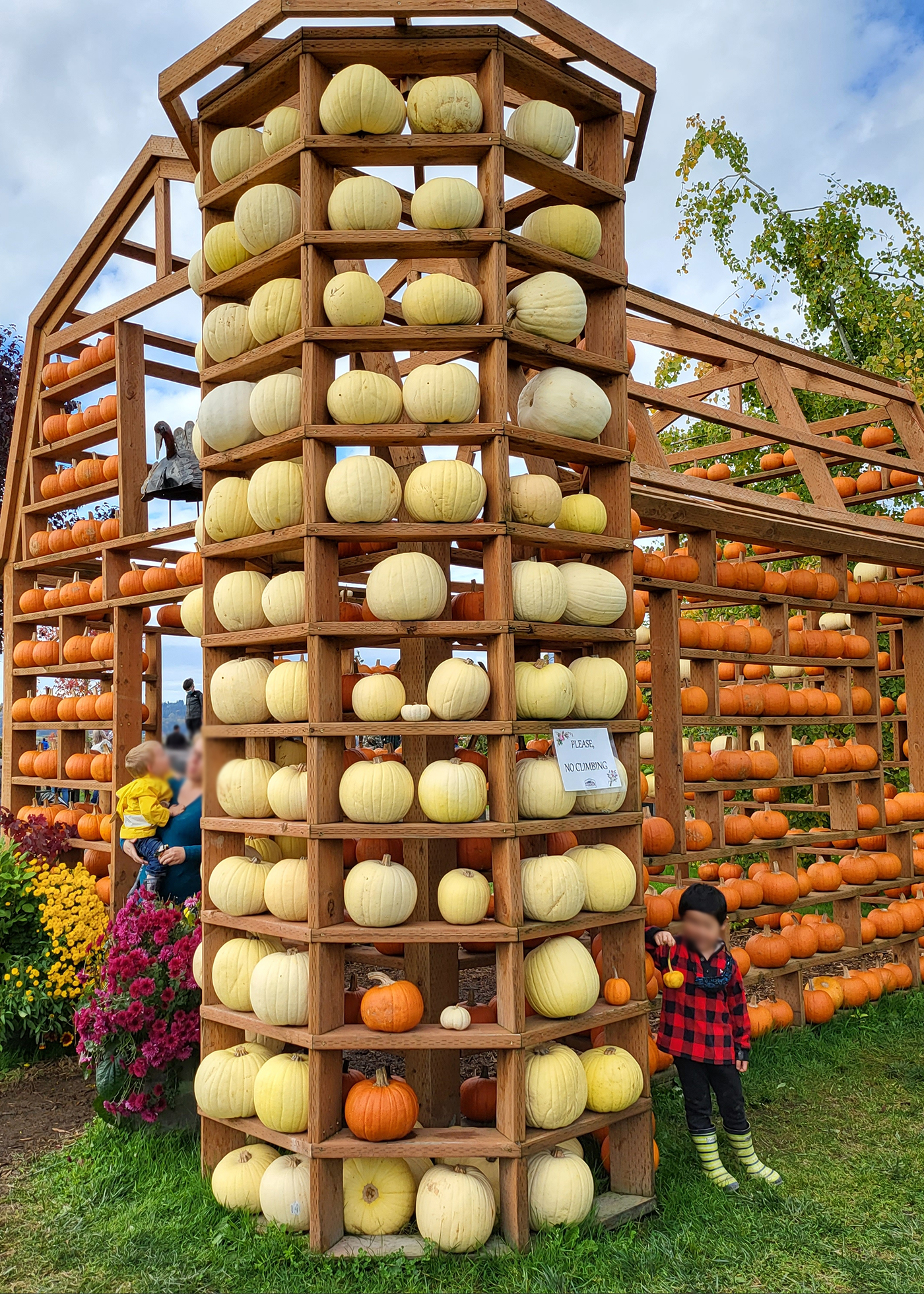 Snohomish Pumpkin Patches 2024 - Everything You Need to Know!