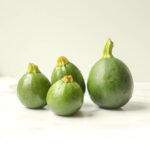 All About Eight Ball Squash (Round Zucchini)