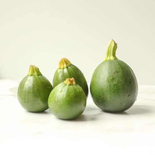 All About Eight Ball Squash (Round Zucchini)