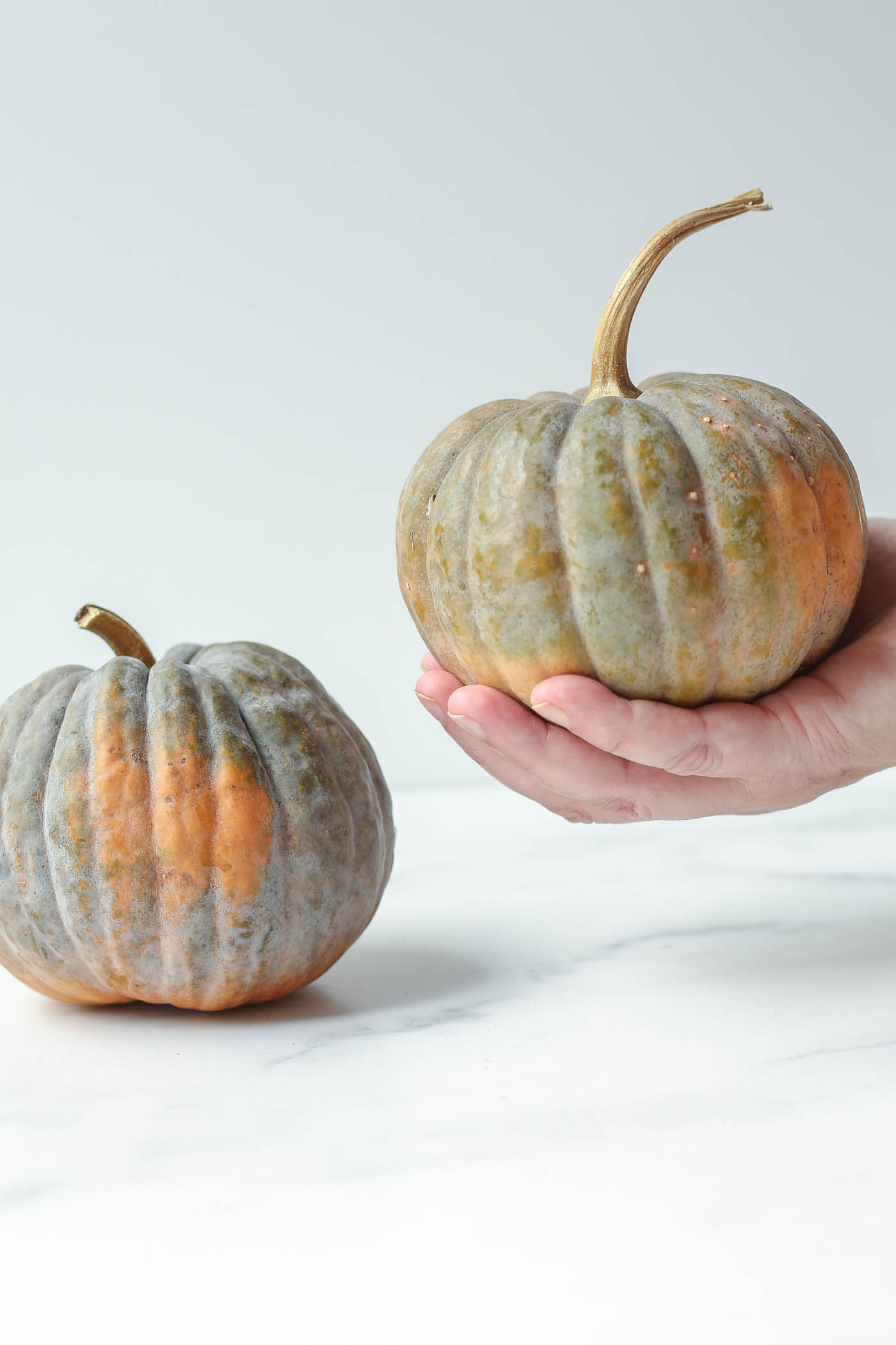 All About Black Futsu Squash