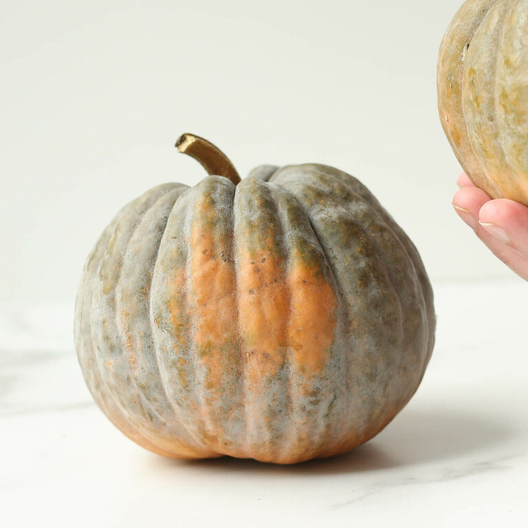 All About Black Futsu Squash