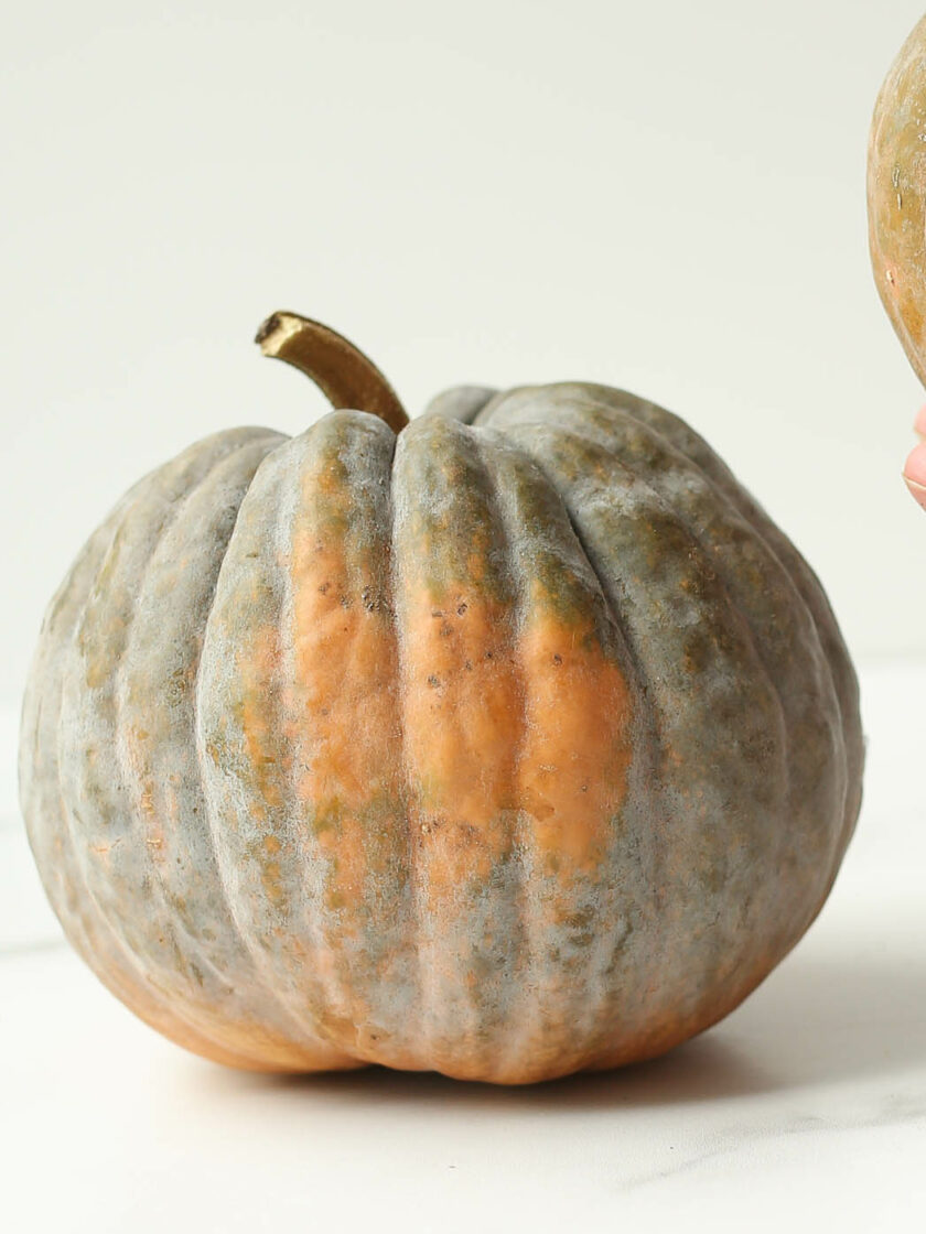Squash & Pumpkin Encyclopedia Archives - Good Gourds