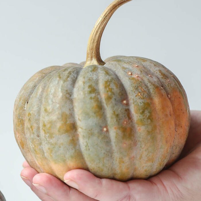 Types of Green Squash & Pumpkins - Good Gourds