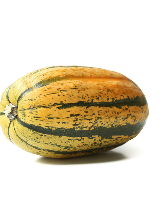 Squash & Pumpkin Encyclopedia Archives - Good Gourds